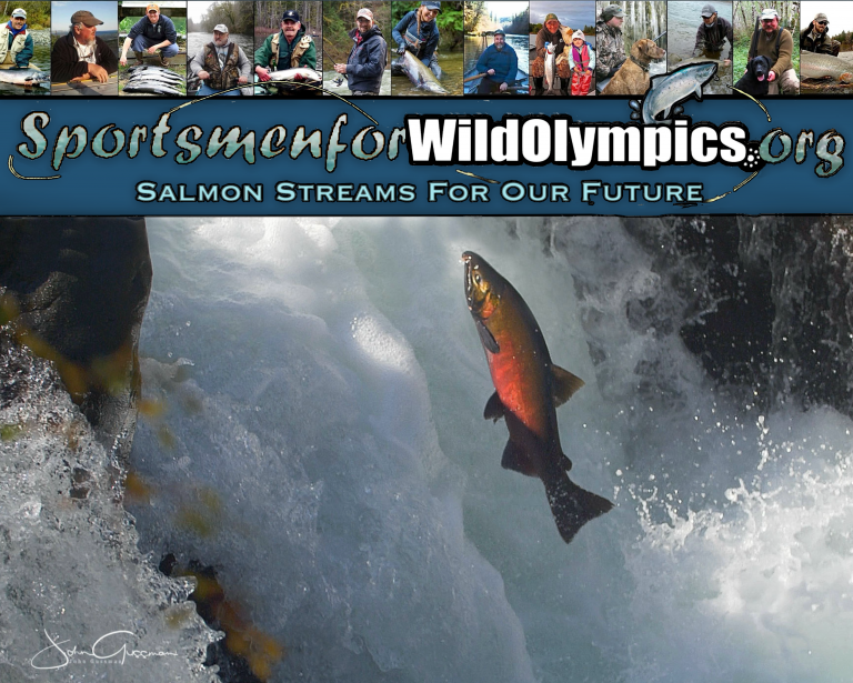 Sportsmen Fight USDA Plan To Log Roadless Headwaters on Olympic ...